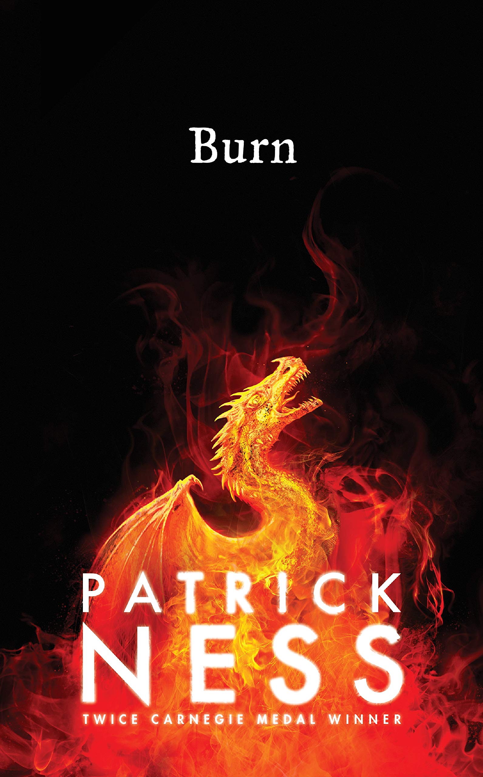 Burn, Patrick Ness – The Book Lovers' Sanctuary